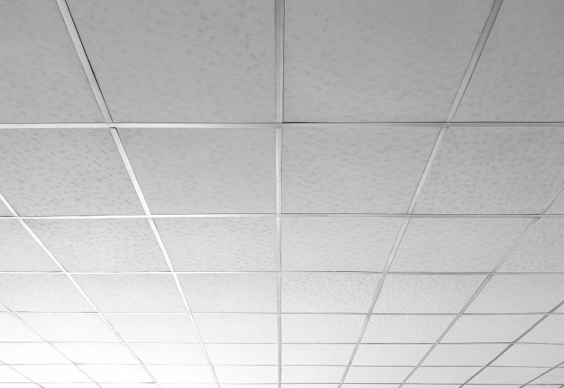 Get Ceiling Tile Repair - Schedule Service Today